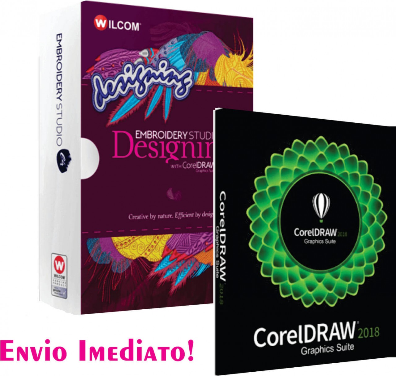 KIT Programas de bordado Wilcom E4 +Embird 2017